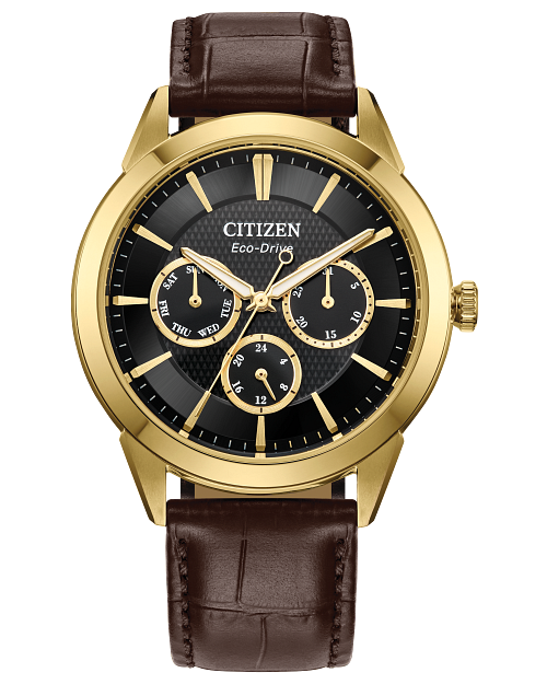 CITIZEN Mens Eco-Drive Ring Rolan Dress/Classic – Watch Warehouse Calgary